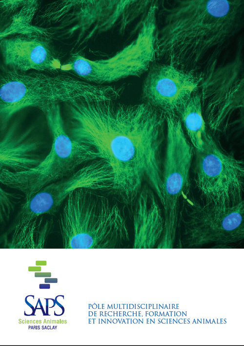 Accueil - SAPS Brochure